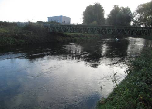 Aspect Ecology Portfolio